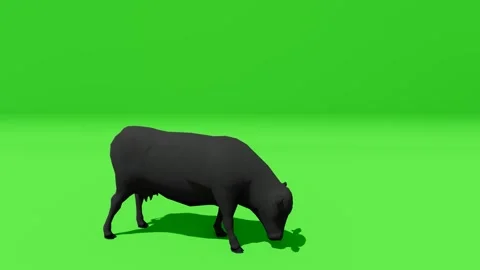 Animated Cow Videos Stock Videos – Royalty-Free HD & 4K Videos