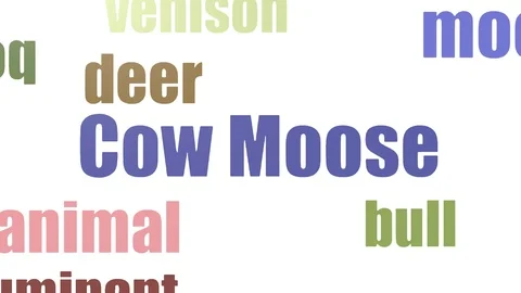 Animated Cow 3D Stock Videos – Royalty-Free HD & 4K Videos