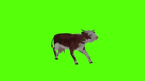 Cow Running Green Screen Animation 4k Re... | Stock Video | Pond5