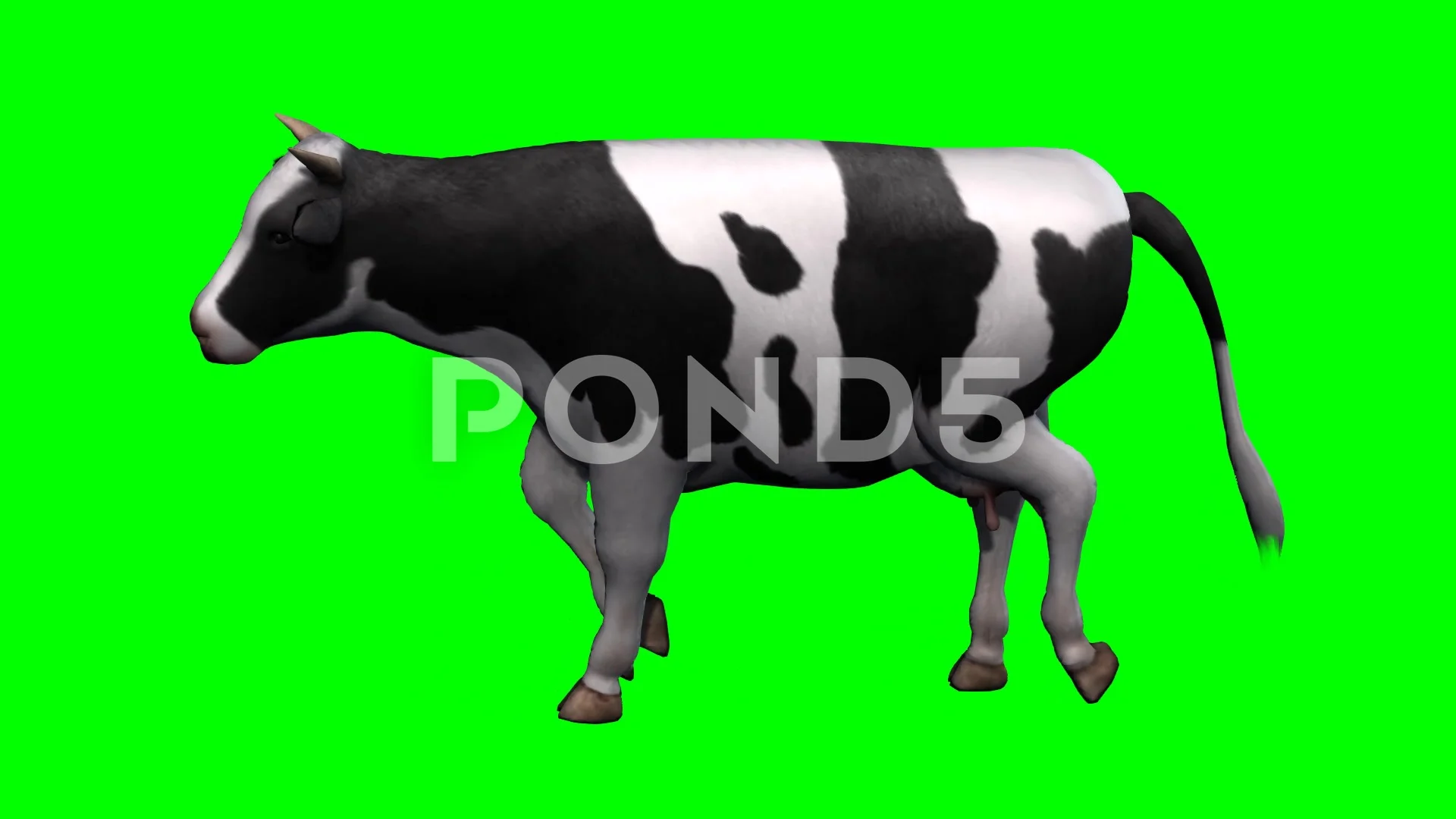 Cow On Green Background
