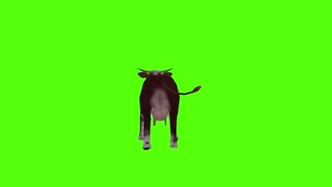 Cow Walking Green Screen Animation 4k Re... | Stock Video | Pond5