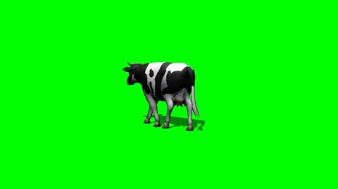 Green Screen Cow Stock Video Footage | Royalty Free Green Screen Cow ...