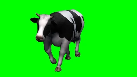 Cow Green Screen Stock Video Footage | Royalty Free Cow Green Screen ...