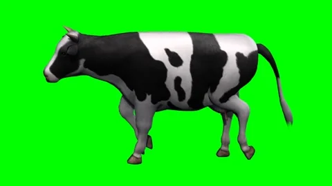 Green Screen Cow Stock Video Footage | Royalty Free Green Screen Cow ...