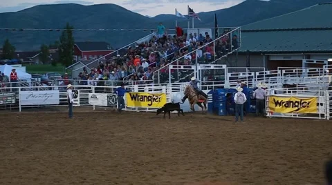 Rodeo Run Cowboy Stock Videos – Royalty-Free HD & 4K Videos