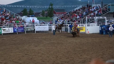 Rodeo Run Cowboy Stock Videos – Royalty-Free HD & 4K Videos