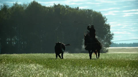 Ranch Animal Stock Video Footage | Royalty Free Ranch Animal Videos | Pond5