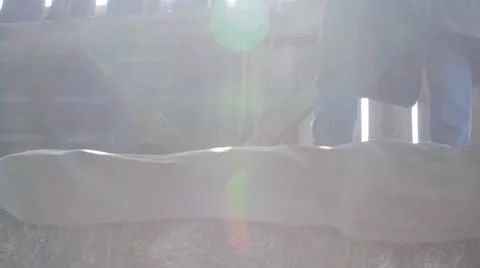 A cowboy plays old fiddle in barn rafter... | Stock Video | Pond5