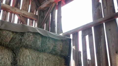 A cowboy plays old fiddle in barn rafter... | Stock Video | Pond5
