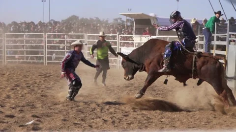 Bull Riding Arena Stock Videos – Royalty-Free HD & 4K Videos