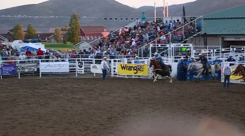 Rodeo Run Cowboy Stock Videos – Royalty-Free HD & 4K Videos