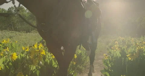 A cowboy walking with his horse in a flo... | Stock Video | Pond5
