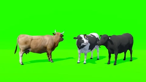 Animal Green Green Screen Stock Video Footage | Royalty Free Animal ...