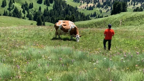 Pictures Of Ranch Stock Videos – Royalty-Free HD & 4K Videos