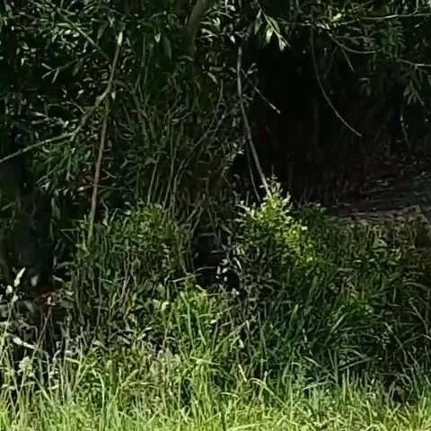 Higher Ground Stock Videos – Royalty-Free HD & 4K Videos