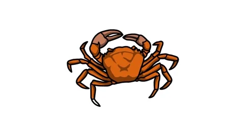 Crab Sketch Stock Footage ~ Royalty Free Stock Videos | Pond5