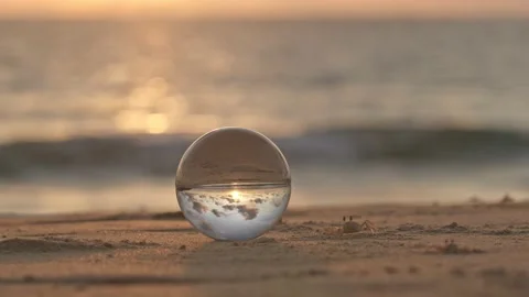 crabs walk around the crystal ball at su... | Stock Video | Pond5