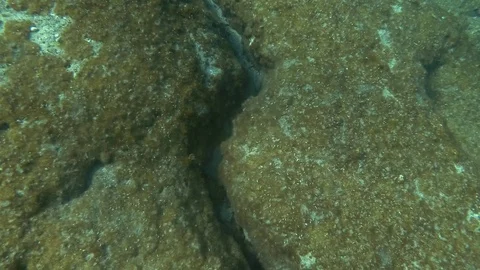 Plate Tectonics Stock Video Footage | Royalty Free Plate Tectonics ...