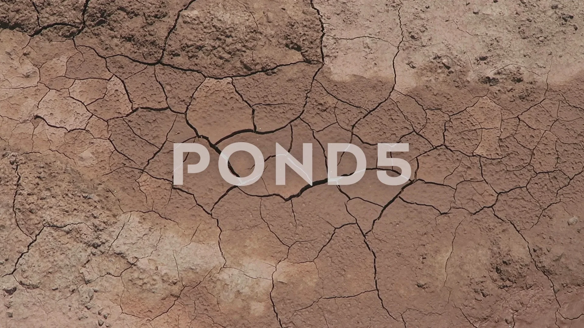 Dirt Crack Fonts