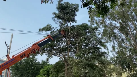 Broken Crane Stock Footage ~ Royalty Free Stock Videos | Pond5