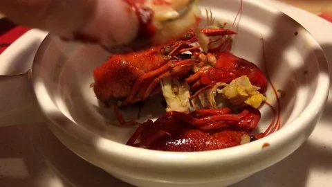 Crawfish Poop Line | Stock Video | Pond5