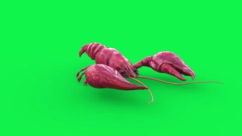 Lobster Green Screen Stock Video Footage | Royalty Free Lobster Green ...