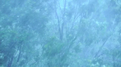 Crazy Rain Storm Trees Blowing Wind HD | Stock Video | Pond5