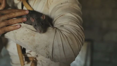 Creepy Face In Window Stock Video Footage | Royalty Free Creepy Face In ...