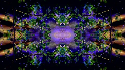 a creative collage of a female body with... | Stock Video | Pond5