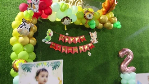 Forest Theme Party Stock Videos – Royalty-Free HD & 4K Videos