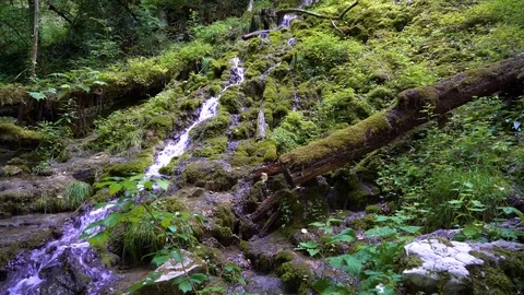 Warmth Running Down Stock Videos – Royalty-Free HD & 4K Videos