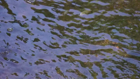 Creek K Pop Stock Videos – Royalty-Free HD & 4K Videos