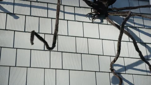 Creepy Giant Halloween House Spiders | Stock Video | Pond5