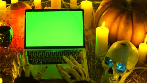 Typing Spider Stock Footage ~ Royalty Free Stock Videos | Pond5