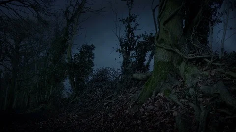 Creepy Path Stock Videos – Royalty-Free HD & 4K Videos