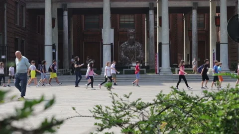 Violines Cremona Stock Videos – Royalty-Free HD & 4K Videos | Pond5