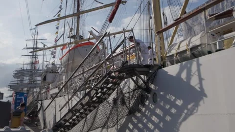 At Large Member Stock Videos – Royalty-Free HD & 4K Videos | Pond5