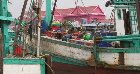 Crew sorting fish into plastic crates on... | Stock Video | Pond5