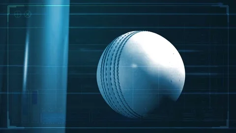 Wicket Hits Ball Stock Footage ~ Royalty Free Stock Videos | Pond5