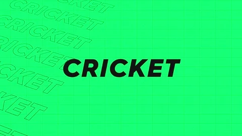Cricket green rows intro stream up attra... | Stock Video | Pond5