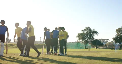 Cricket players shaking hands on field, ... | Stock Video | Pond5
