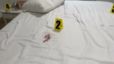 Blood Stain Stock Video Footage | Royalty Free Blood Stain Videos | Pond5