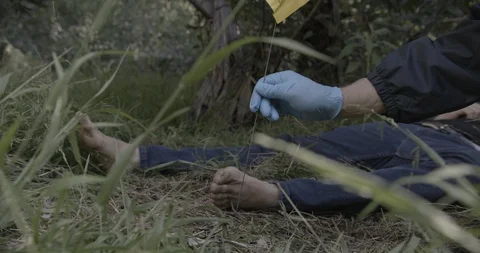 Crime Scene Los Angeles Woods Dead Body ... | Stock Video | Pond5