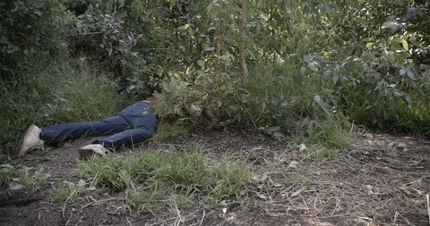 Crime Scene Los Angeles Woods Dead Body ... | Stock Video | Pond5