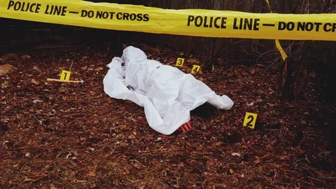 Crime Scene Murder Yard | Stock Video | Pond5
