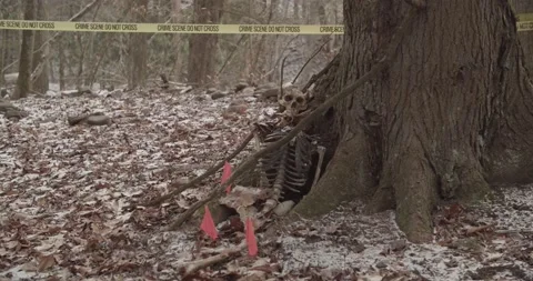 Stock Footage by Crimescenes | Official Pond5 Storefront