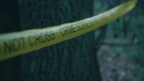 Creepy Murder Stock Video Footage | Royalty Free Creepy Murder Videos ...