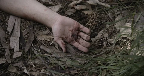 Crime Scene Woods Dead Body CSI Swabs Ha... | Stock Video | Pond5