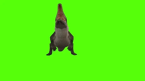 Crocodile Bite Green Screen Animation 4k... | Stock Video | Pond5