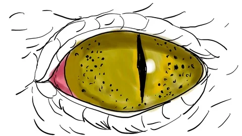 Crocodile Eyes Blinking Drawing 2D Anima... | Stock Video | Pond5